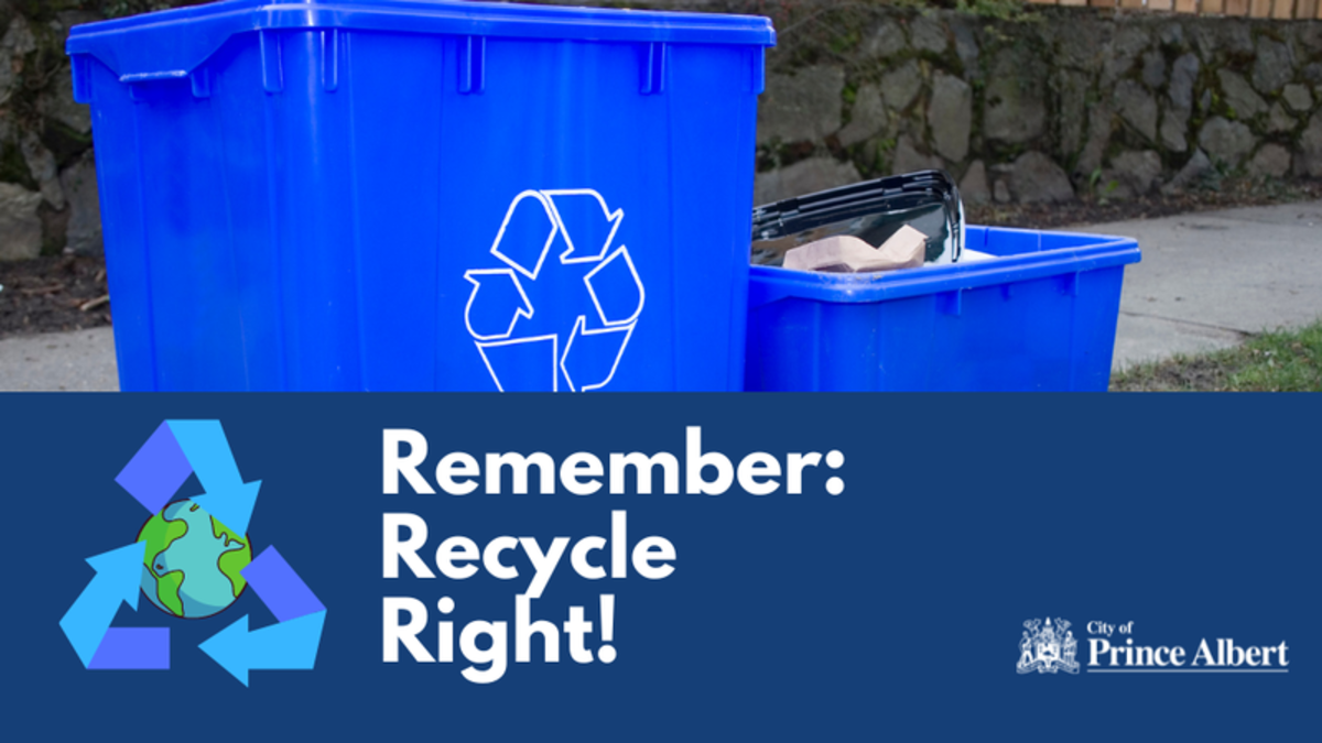 City reports increase in contaminated recycle bins | paNOW