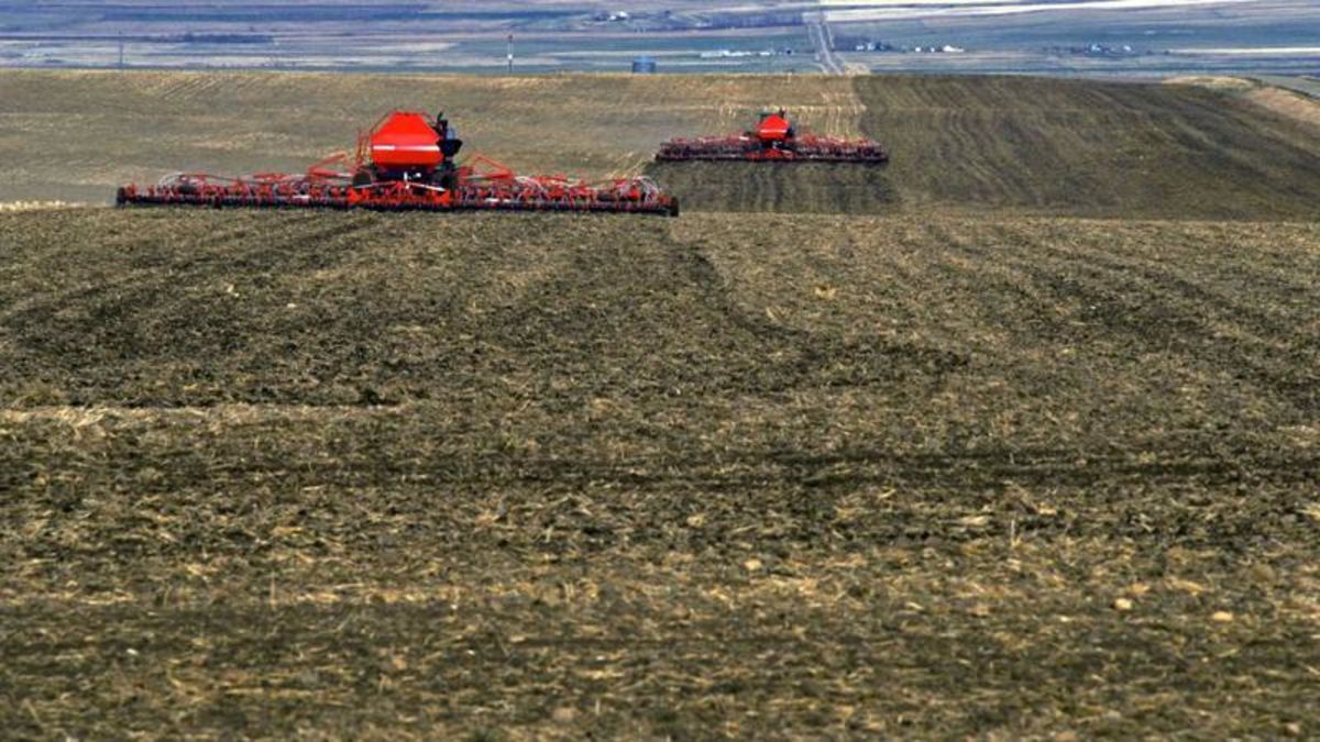 Seeding complete on major crop acres in Alberta | northeastNOW