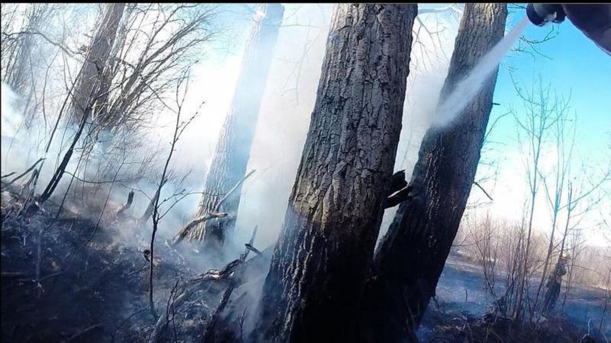 Wildfire danger level moved to high in Grande Prairie Forest Area ...