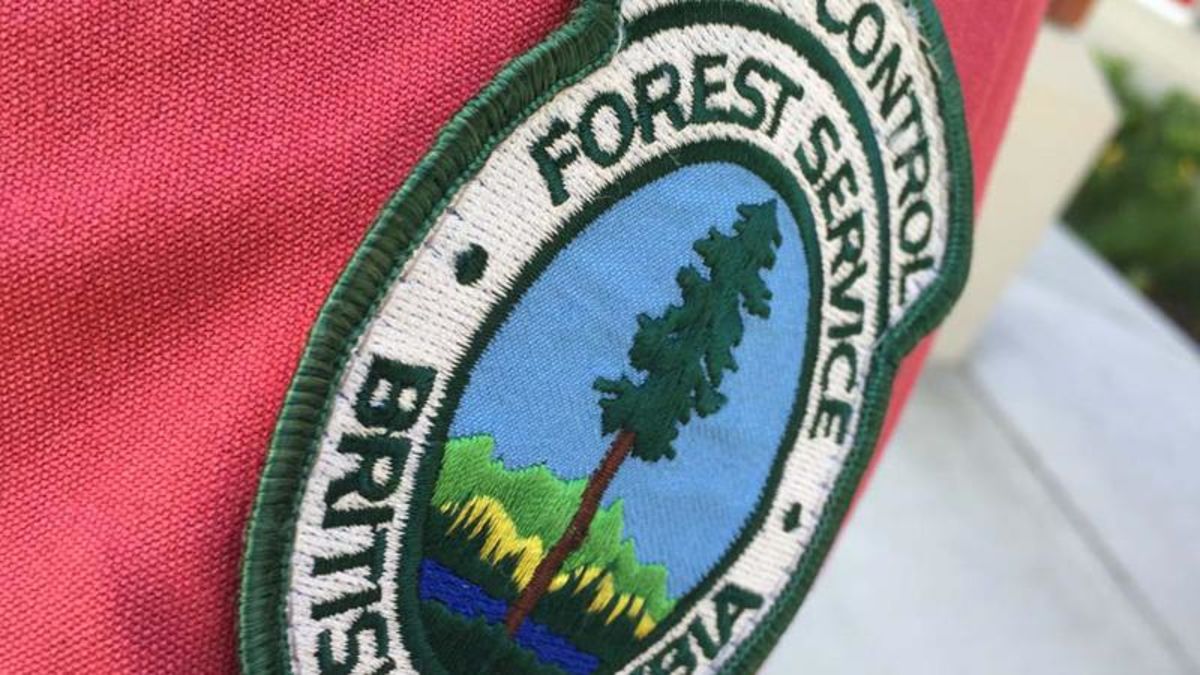 Relatively quiet weekend in Kamloops Forest District | Vernon Matters