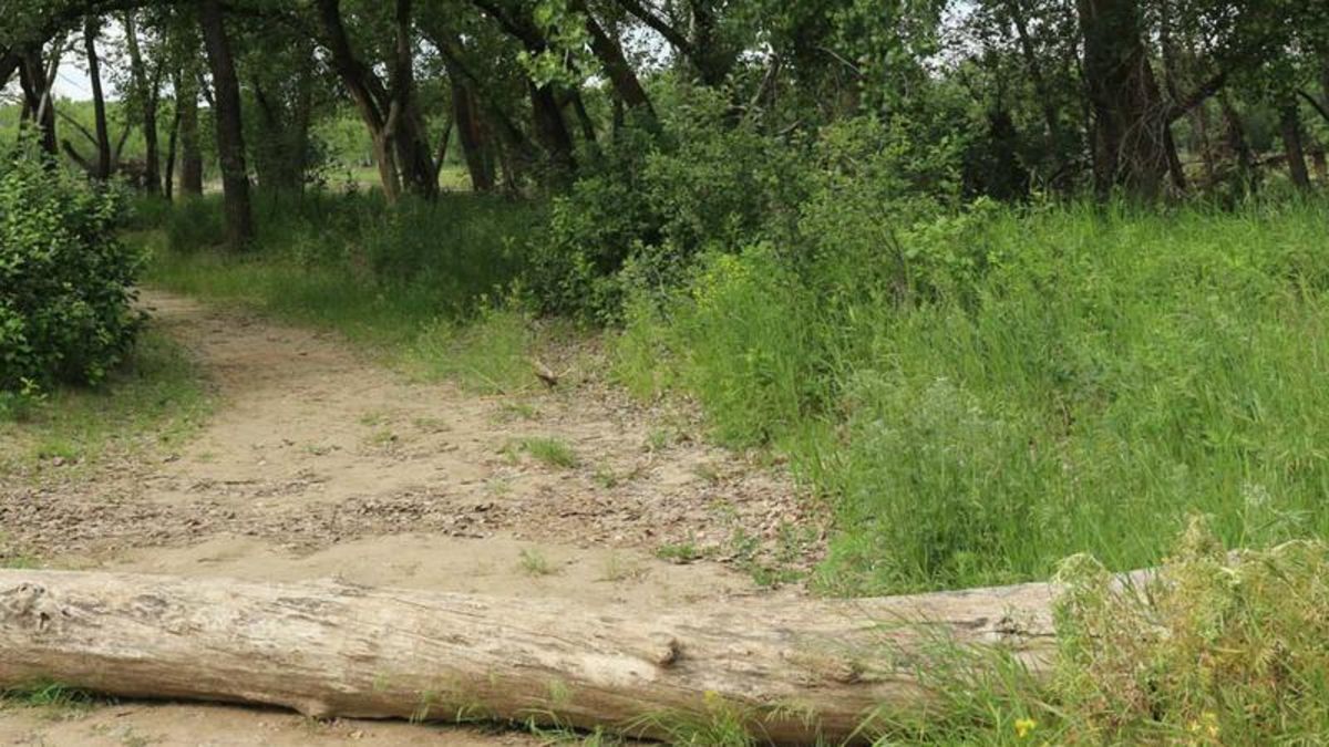 Interpretive Program offering three free family programs | CHAT News Today