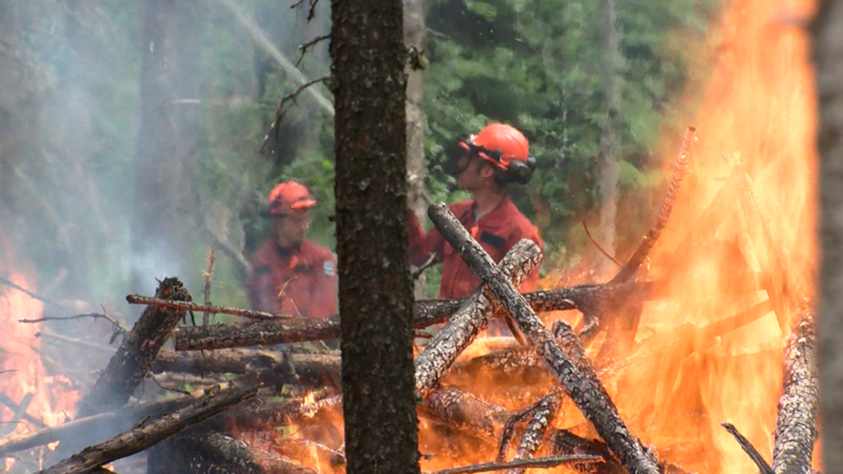 Four wildfires of note within the Prince George Fire Centre | CKPG Today