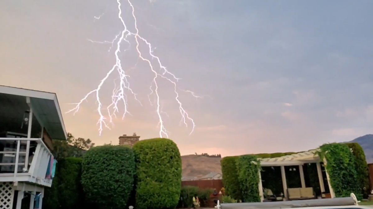 Environment Canada counted 26,000 lightning strikes in B.C. Interior ...
