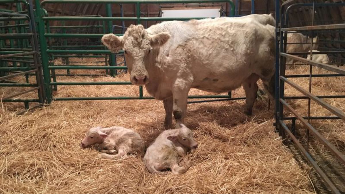 ‘The worst drought we have ever seen’: Ranchers, farmers brace for ...
