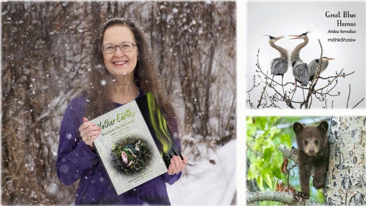 Peace River woman launching new book to showcase beauty of Peace Region ...