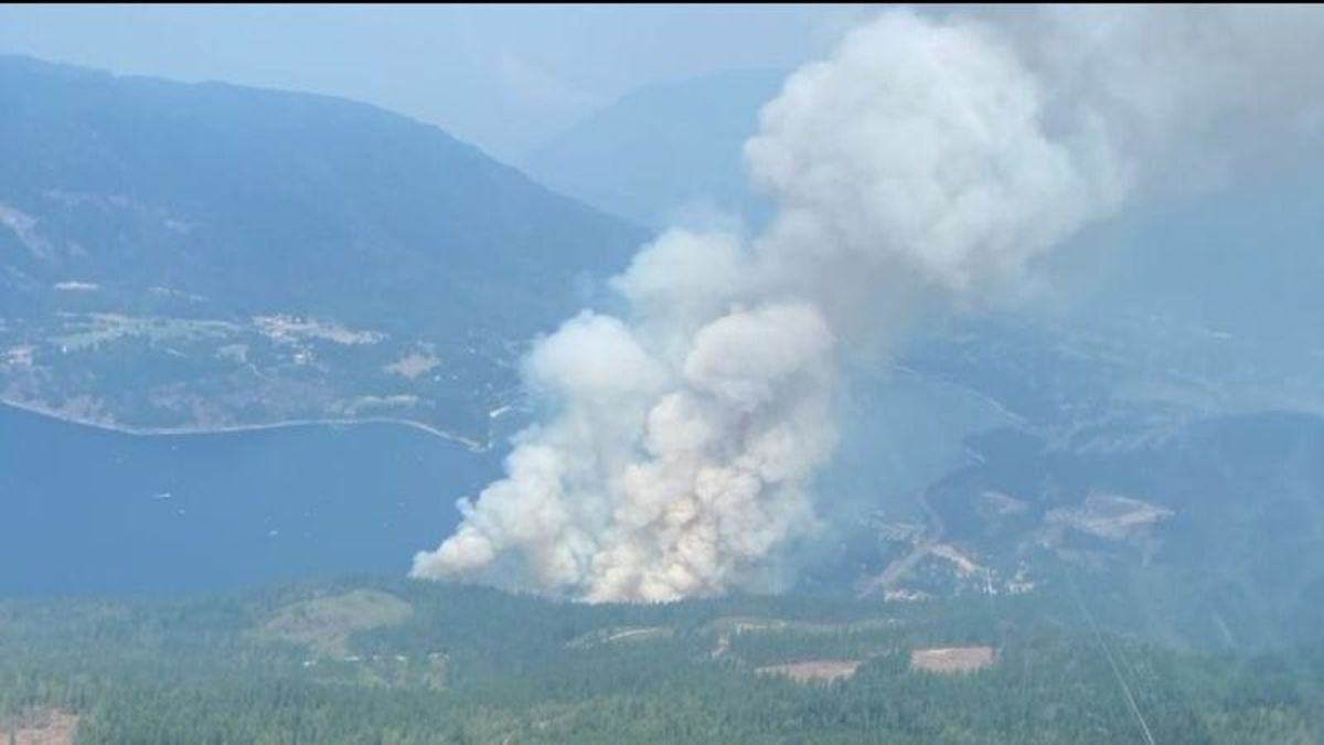 UPDATE: Parts of Sicamous evacuated due to fast-moving wildfire | CFJC ...