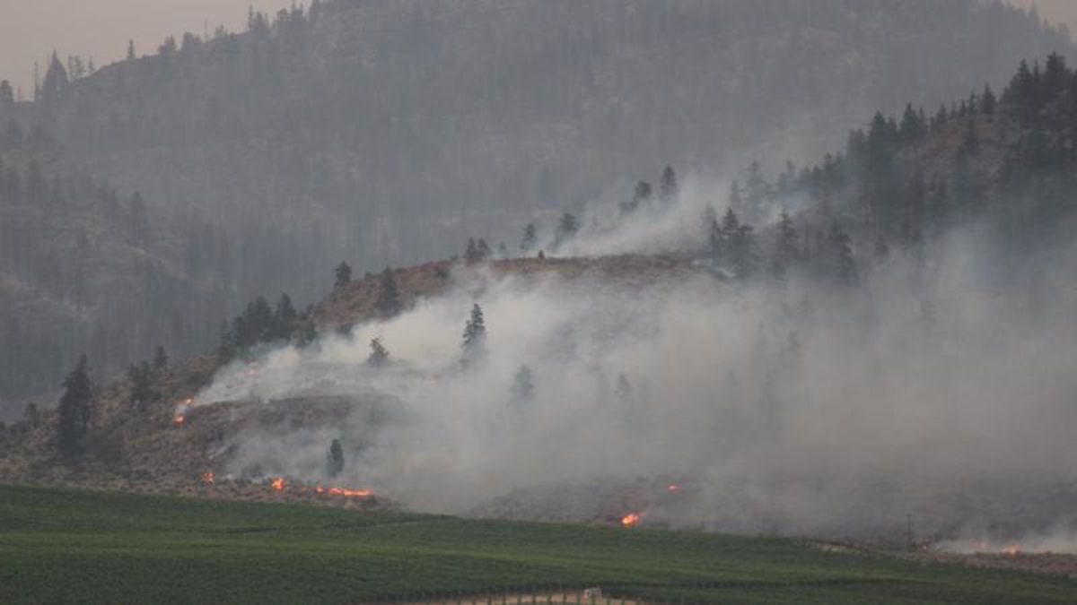 Fire break: active wildfire numbers lower in B.C. | Vernon Matters