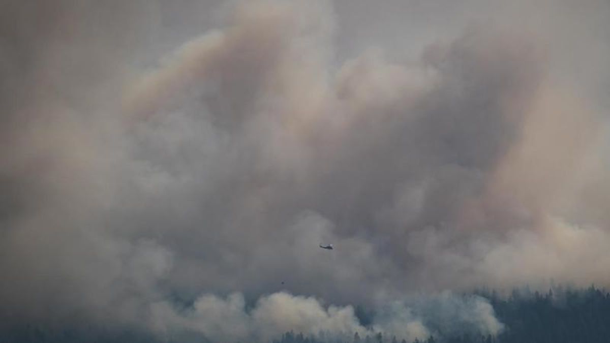 Doctors, air pollution experts forecast worsening health effects of ...