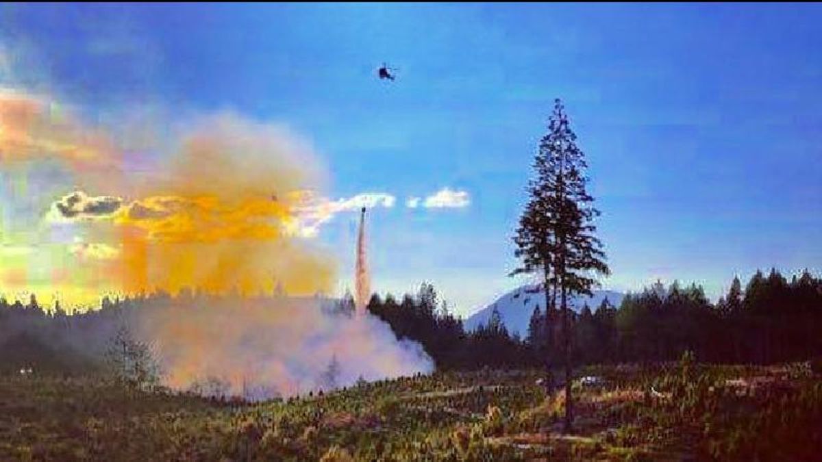 Quick Response Keeps Tree Farm Fire Contained CFJC Today Kamloops quick-response-keeps-tree-farm-fire-contained-cfjc-today-kamloops