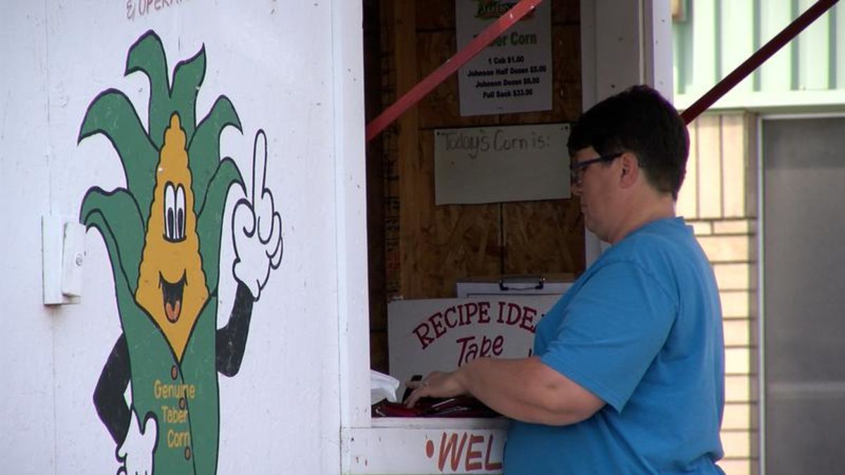 Taber corn now in stands across Medicine Hat | CHAT News Today