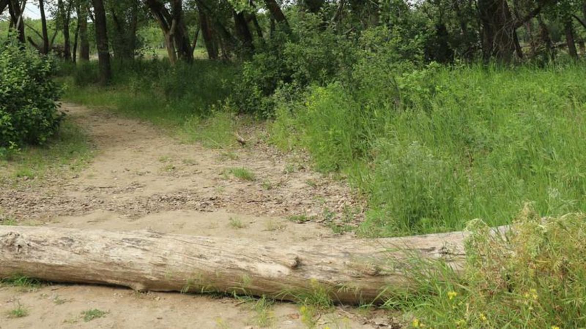 Enchanted Story Time adventure at Police Point Park | CHAT News Today