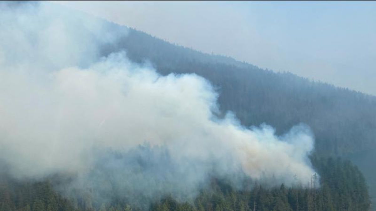 Fires of note continue to burn in the area | Vernon Matters