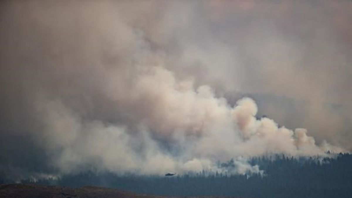 Damage estimate for fire razed town of Lytton, B.C., reaches $78 ...