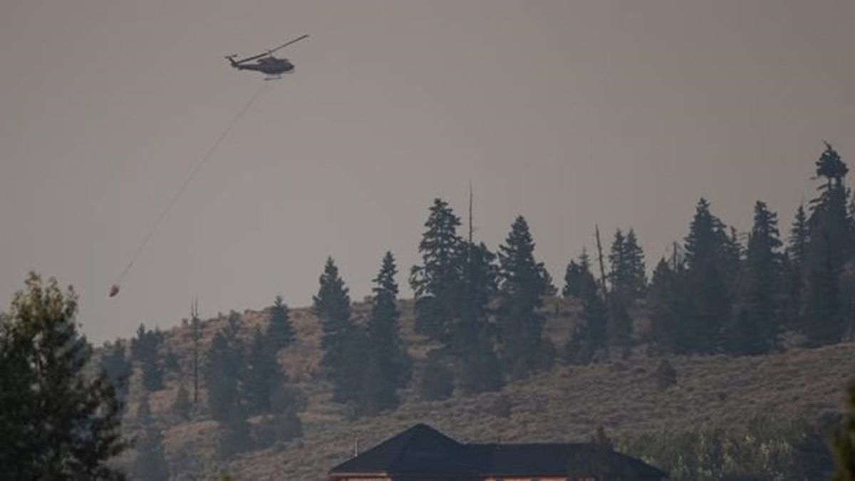 Wildfire devastates community of Monte Lake in B.C.’s southern Interior ...