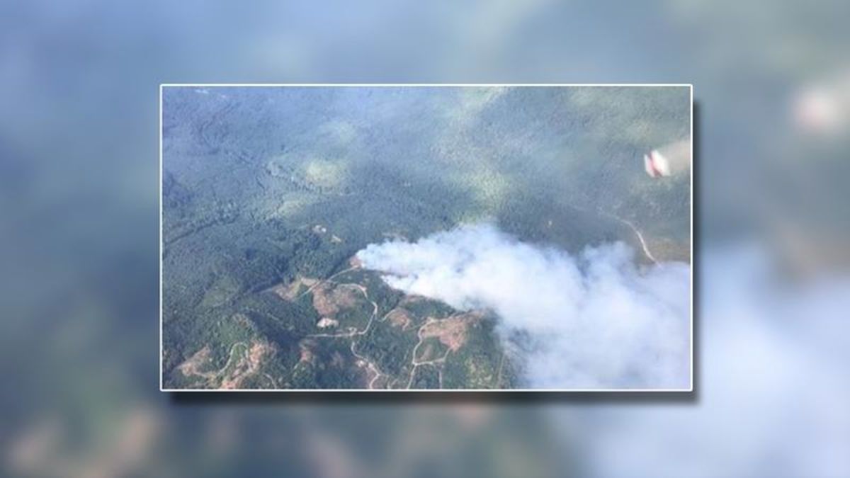 Holyoak Creek fire out of control, grows to seven hectares after windy ...
