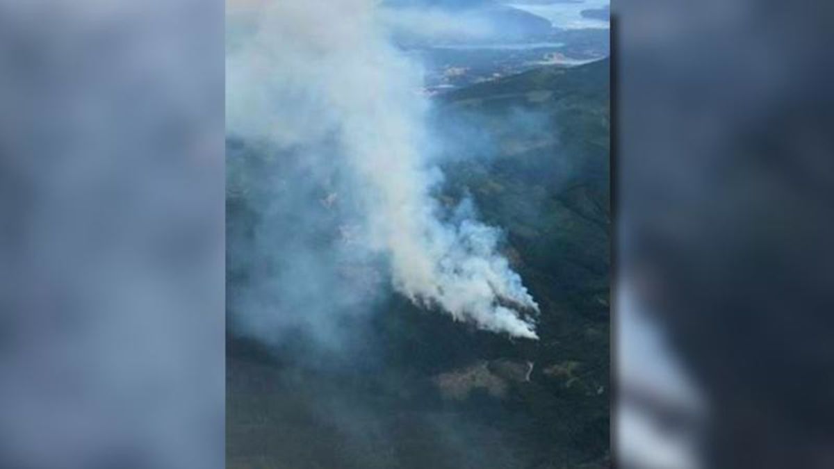 Overnight rain, para-attack crew halts growth on Holyoak Creek fire ...