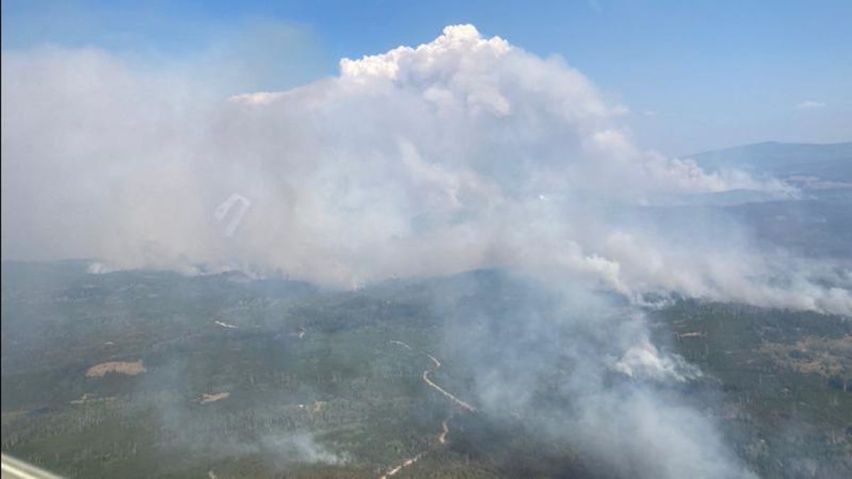 Firefighting operations help suppress fire along southeast flank ...