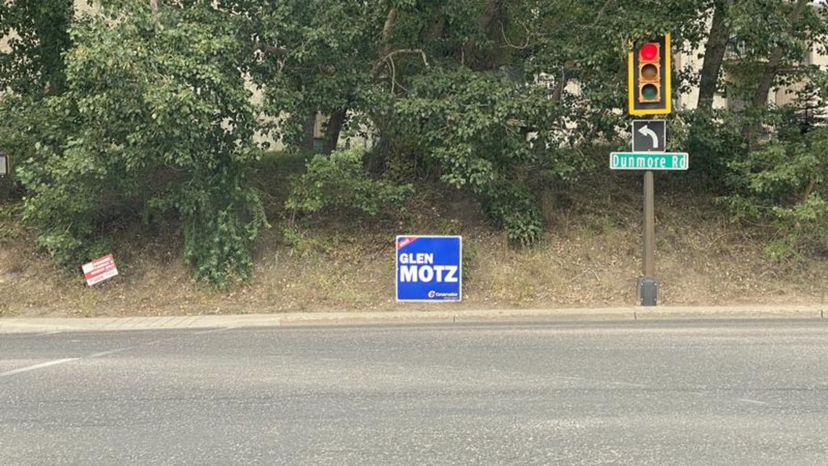 Candidate signs for federal election pop up as election called for ...