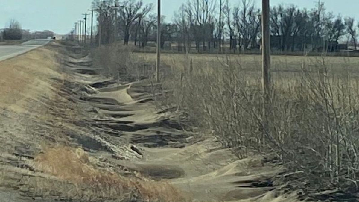Soil erosion – Dollars blowing in the wind | Lethbridge News Now