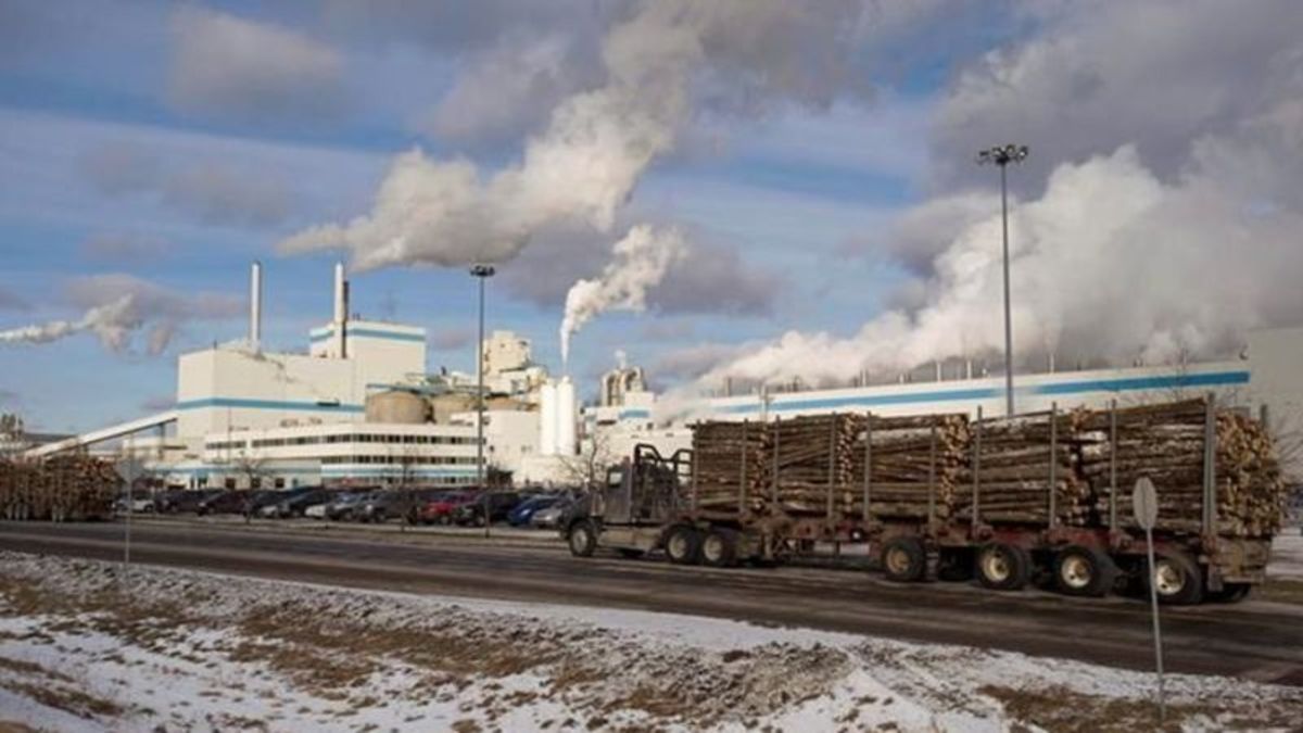 Two workers killed in scaffold collapse at Quebec paper mill identified ...