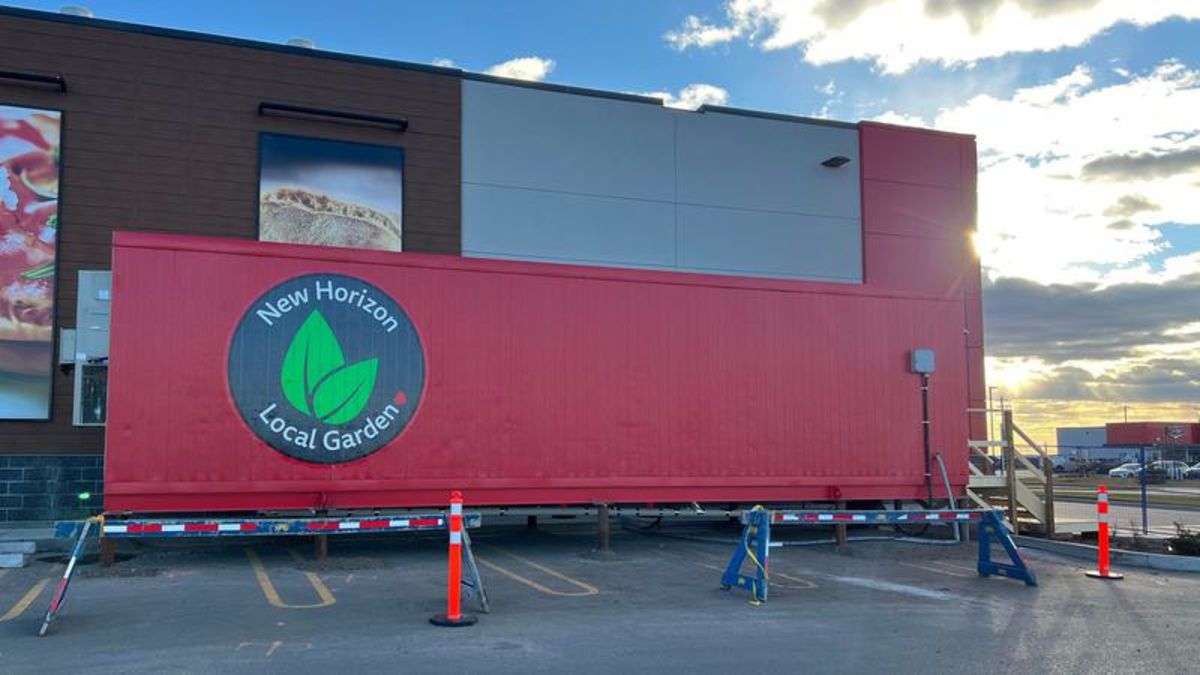 Fresh produce to be grown year-round at New Horizon CO-OP’s Local ...