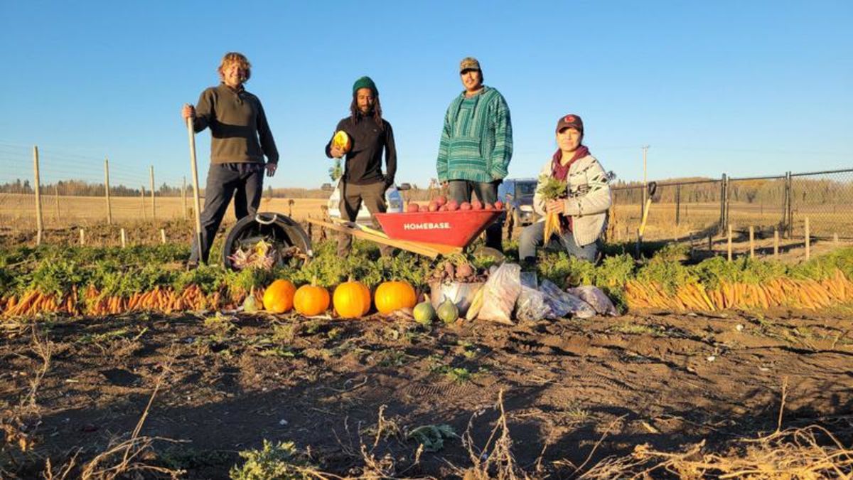 Muskeg Lake Food Forest receives provincial Heritage award | paNOW
