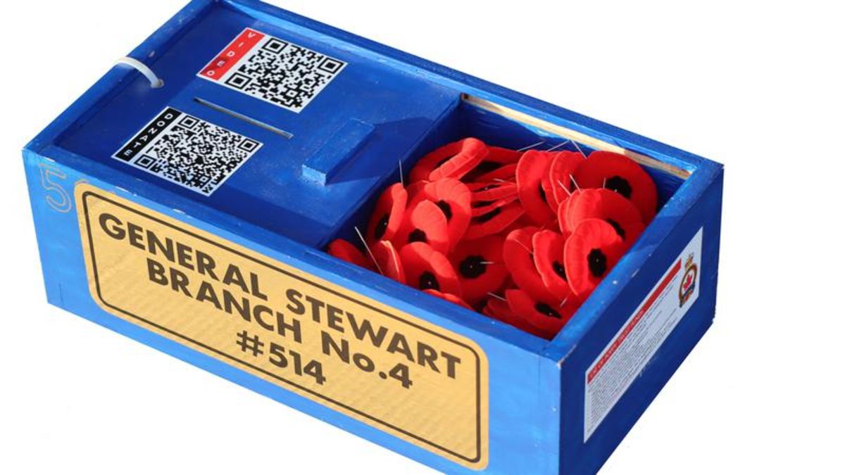 The poppy celebrates 100 years of remembrance | Lethbridge News Now