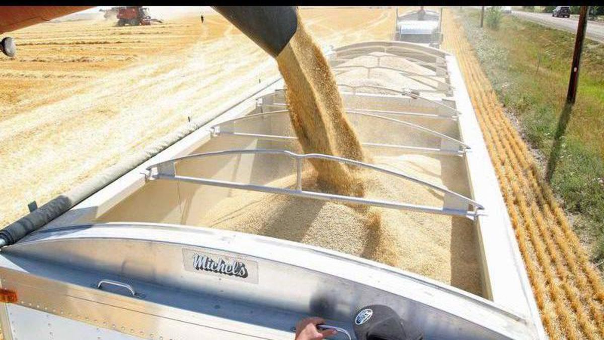 Grain commission dealing with farmer complaints about Cargill ...
