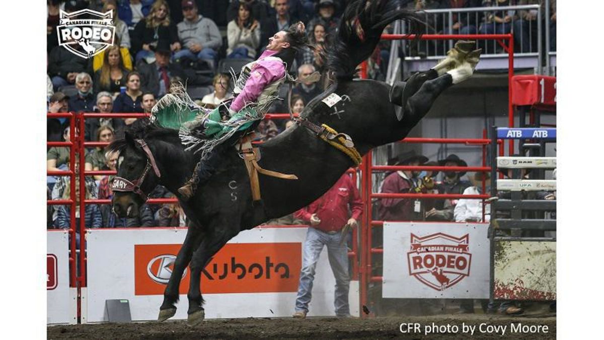 Canadian Finals Rodeo – Round 5 highlights | Lethbridge News Now