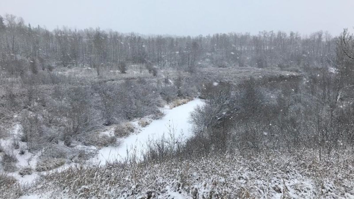 Snowfall warning out for Grande Prairie-Beaverlodge-Valleyview forecast ...