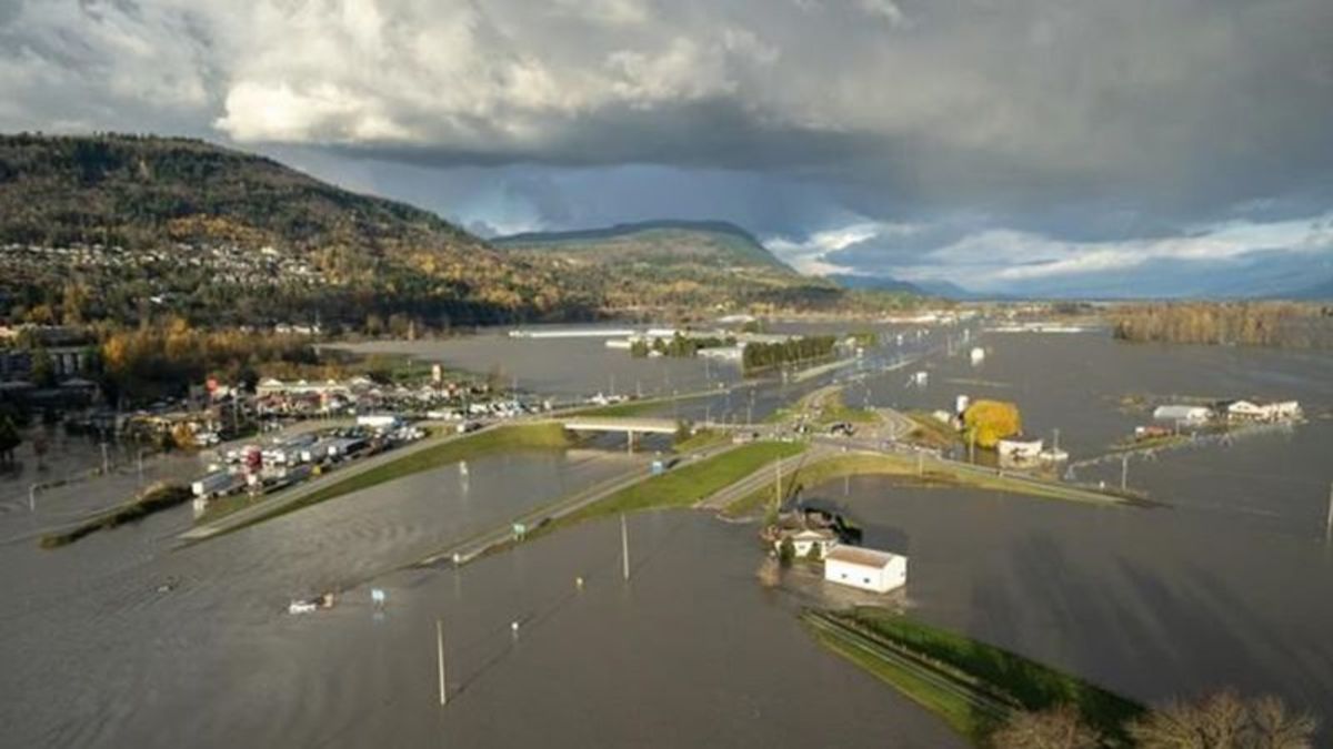 B.C. pot sector bracing for delivery challenges and shortages after ...