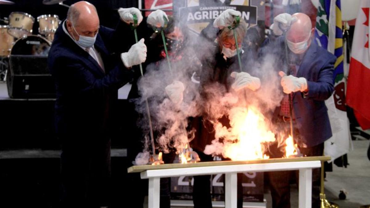 Over 700 days later, Agribition is back in Saskatchewan in time for ...