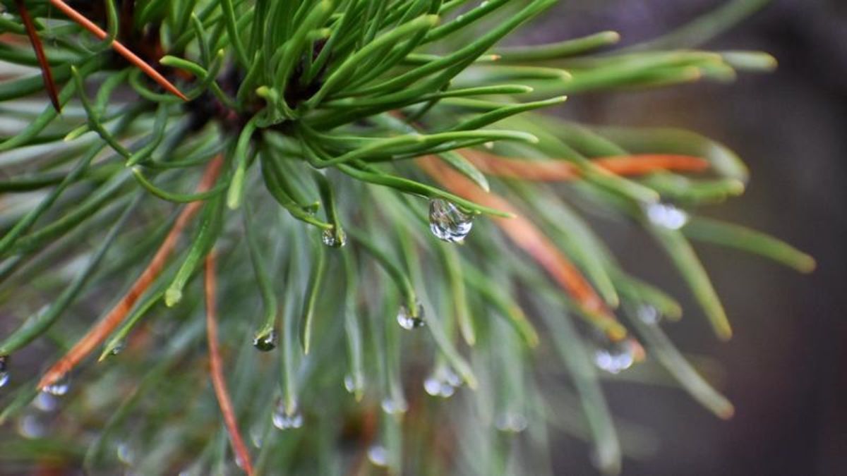 Environment Canada issues first ‘red level alert’ ahead of back-to-back ...