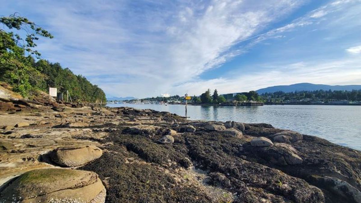 Saysutshun, formerly Newcastle Island, given ‘correct name’ by province ...