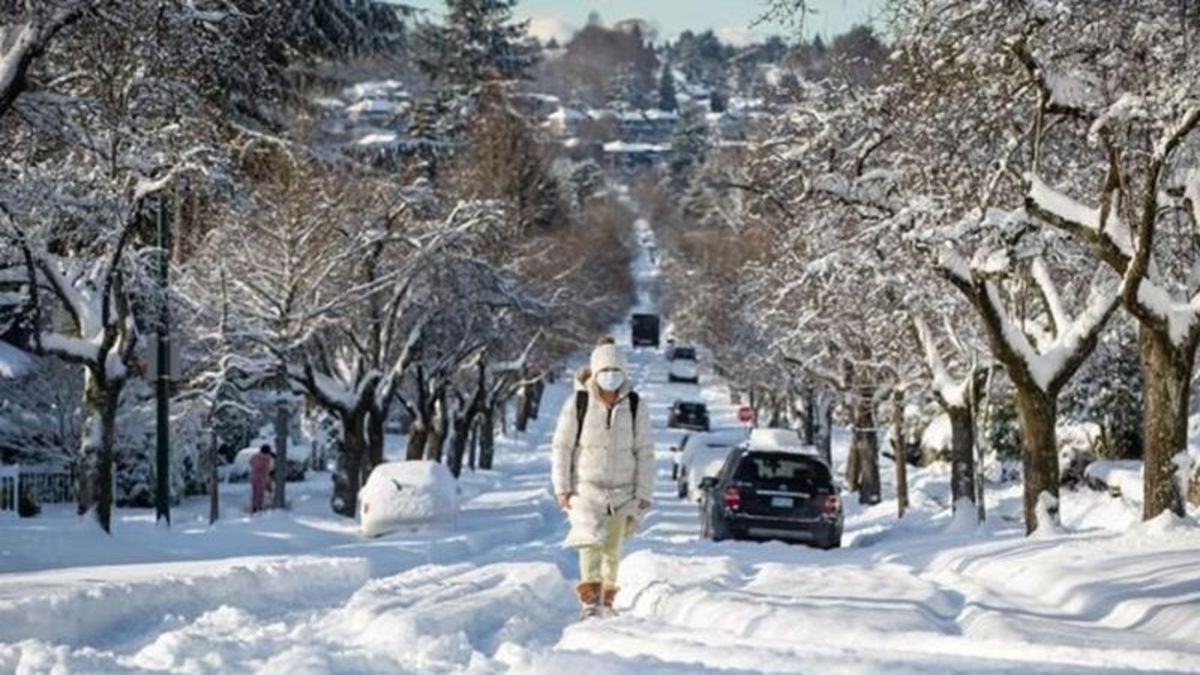 More snow, extreme cold expected for parts of B.C.: Environment Canada ...