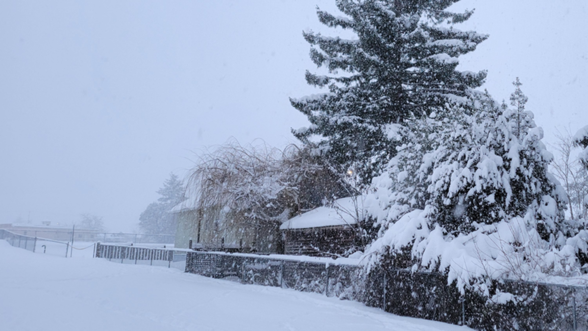 Widespread winter storm watch in effect for Nanaimo & Oceanside ...