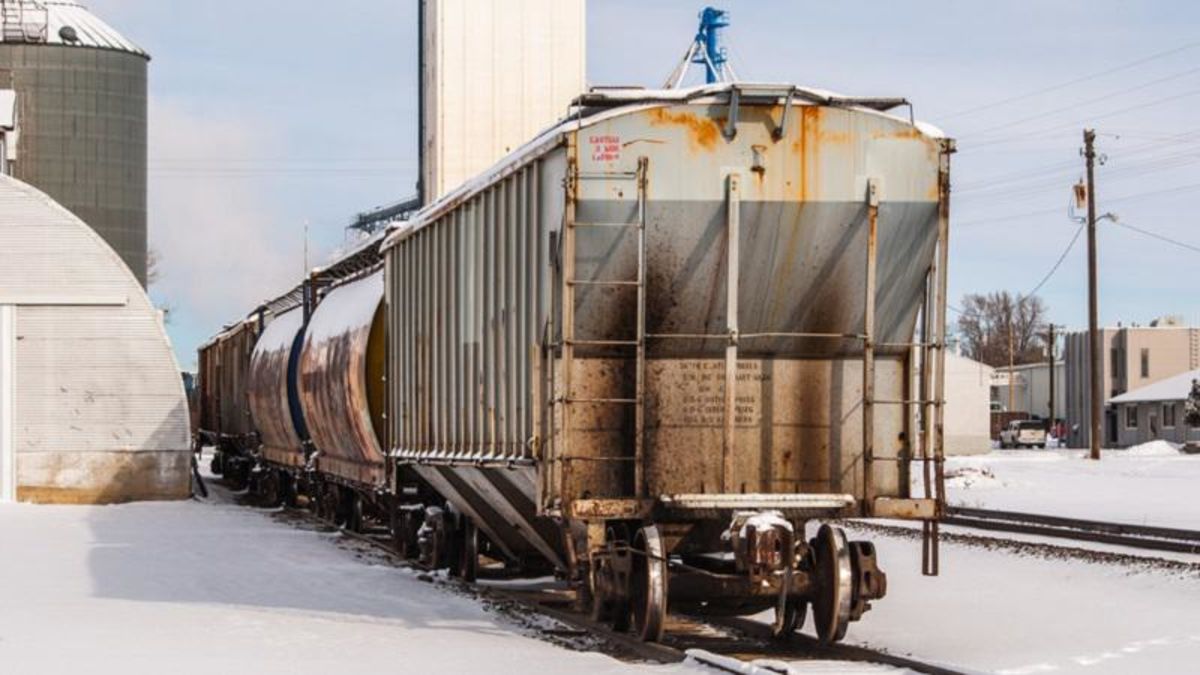 Listen: Railways struggle to meet rail orders for grain cars | CJVR ...