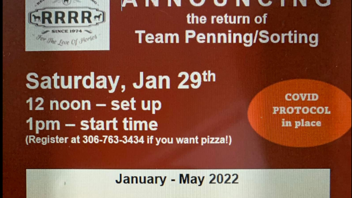 Team Penning/Sorting Returns to 4Rs | paNOW