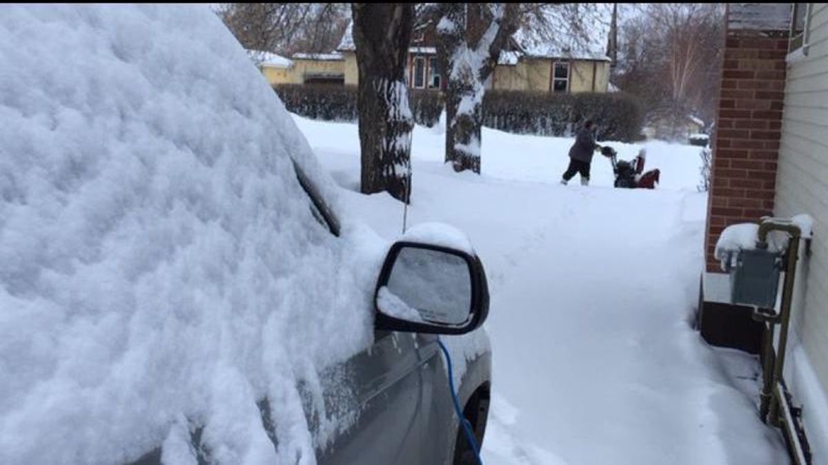 Blizzard and snowfall warnings in place for much of Saskatchewan | paNOW