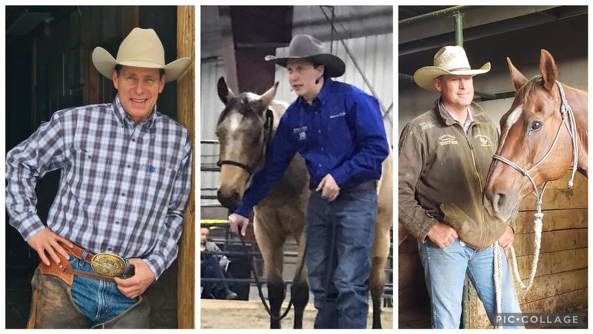 Trainers’ Challenge among highlights at Everything Equine show | CJVR ...
