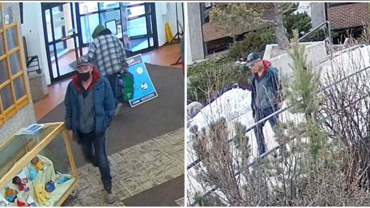 LPS seeking help in identifying subject in library theft | Lethbridge ...