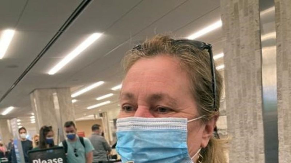 Snowbird kitty: Lost cat heads home to Maine – from Florida | EverythingGP