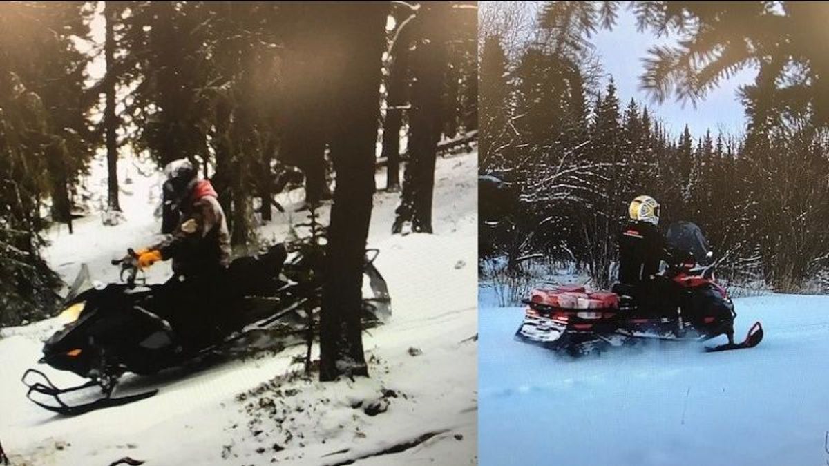 Sundre Rcmp Seek Publics Assistance In Identifying Theft Suspects