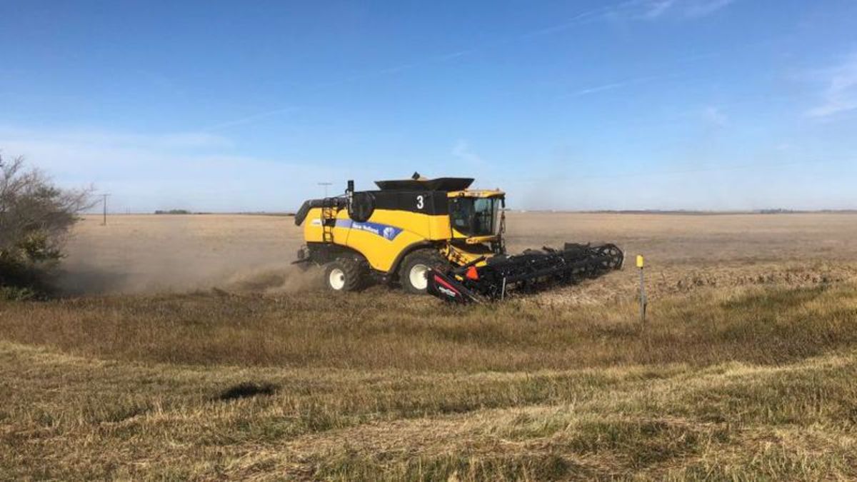 Saskatchewan set record for agricultural exports in 2021 | CJVR Today's ...