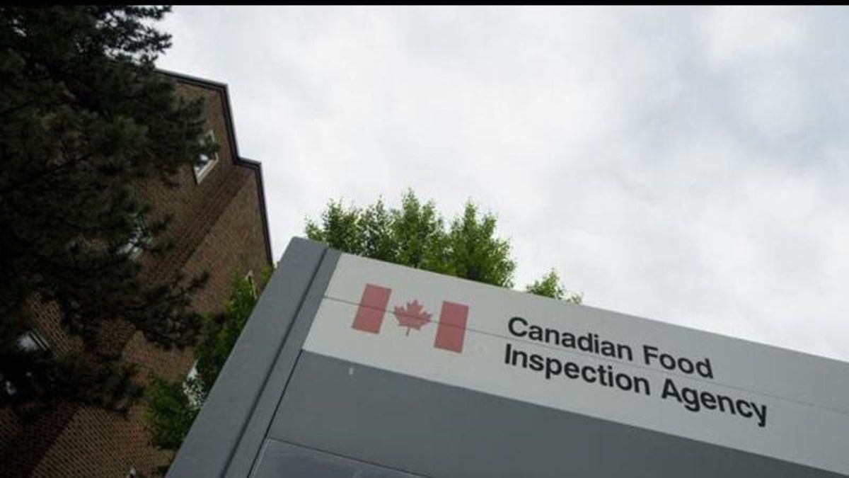 Bouvry Export’s Safe Food for Canadians license suspended by CFIA ...