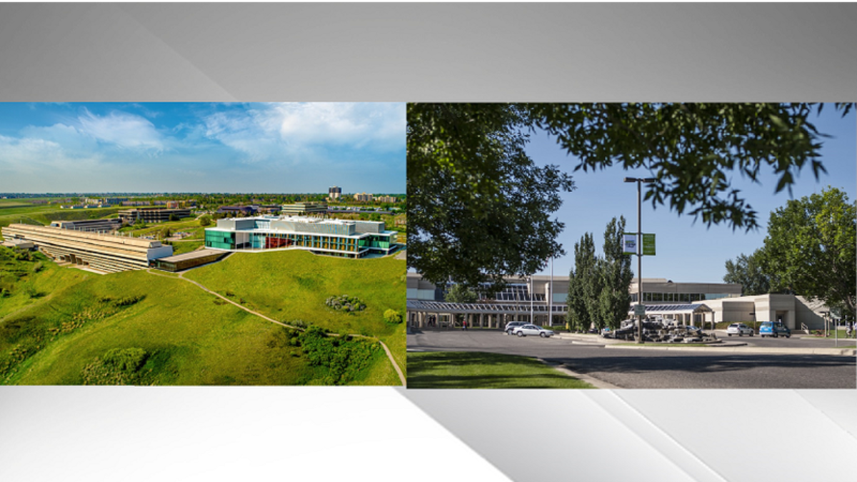 Lethbridge College & U of L lose millions in funding | Lethbridge News Now