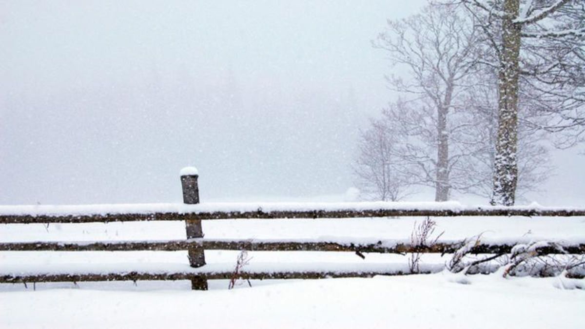 Saskatchewan has been a colder than normal winter | farmnewsNOW