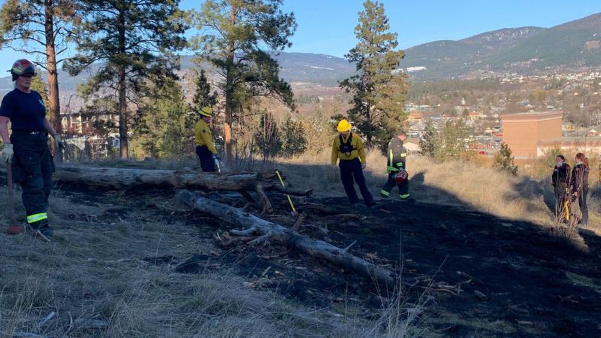 Police investigating fire in park | Vernon Matters