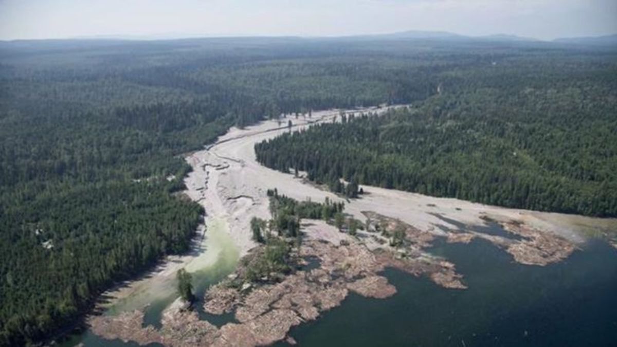 Regulator fines engineers 8 years after Mount Polley disaster in B.C ...
