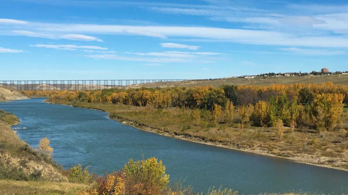 City investigating oil in Old Man River | Lethbridge News Now